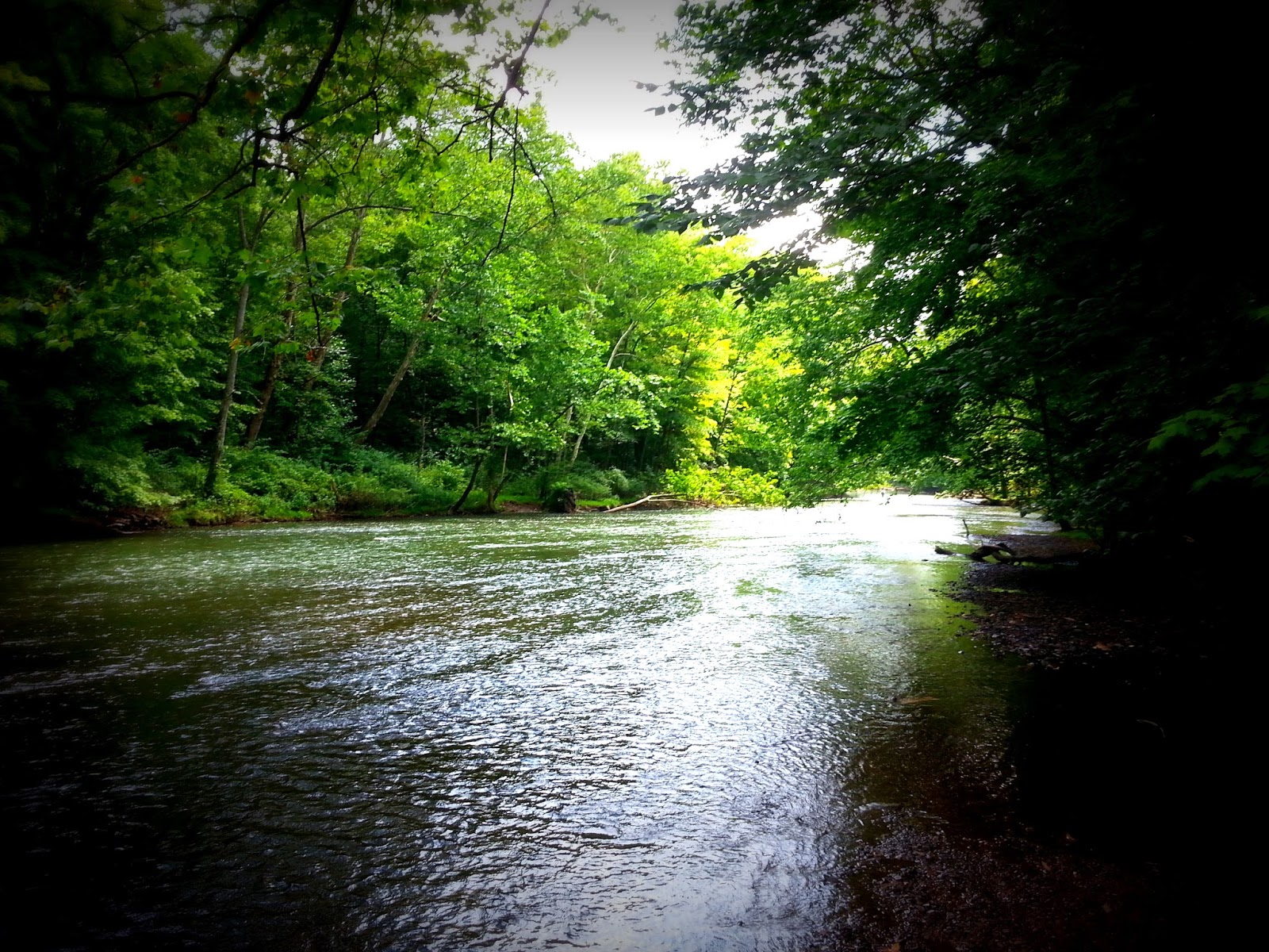 Always JAM in CLE: Mohican Weekend Part I