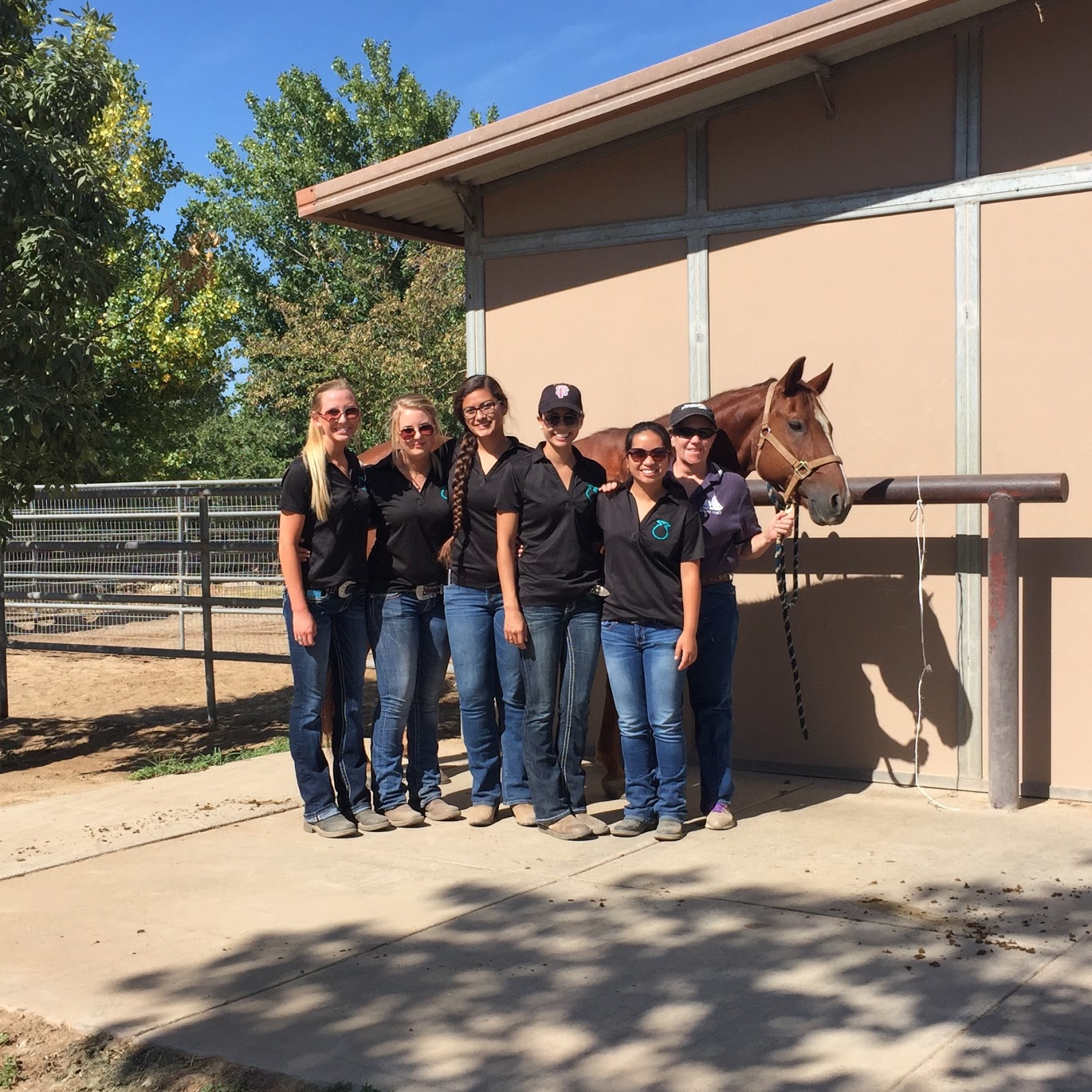 2015 California FFA State Horse Judging Team: Atwater Practice