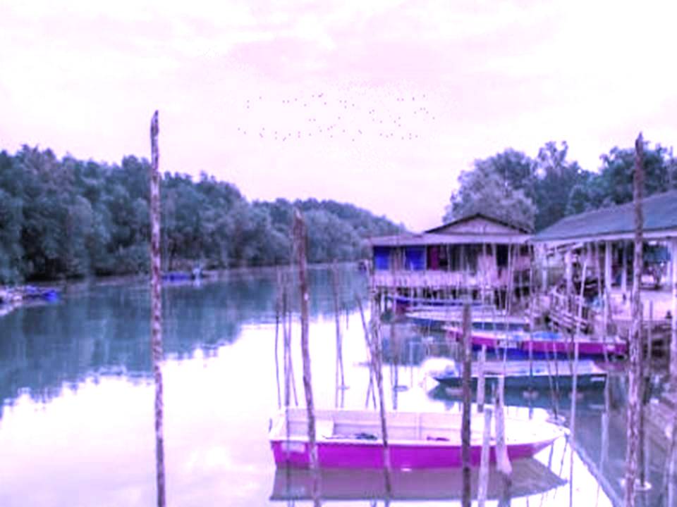 CT: HOMESTAY KG. PERIGI ACHEH