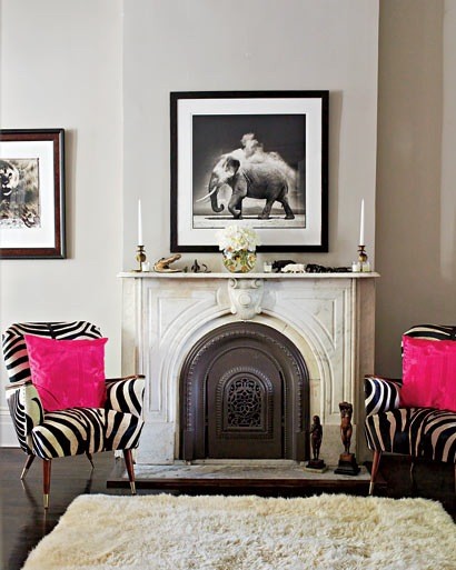 Dreamy Spaces: Bring on the Zebra Décor