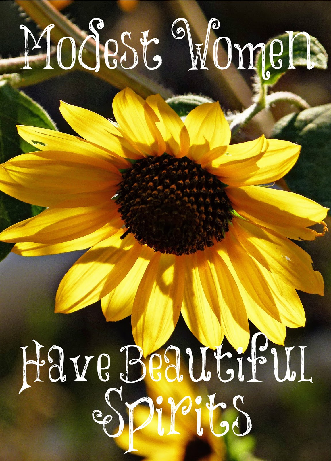 Modesty Is Always Beautiful