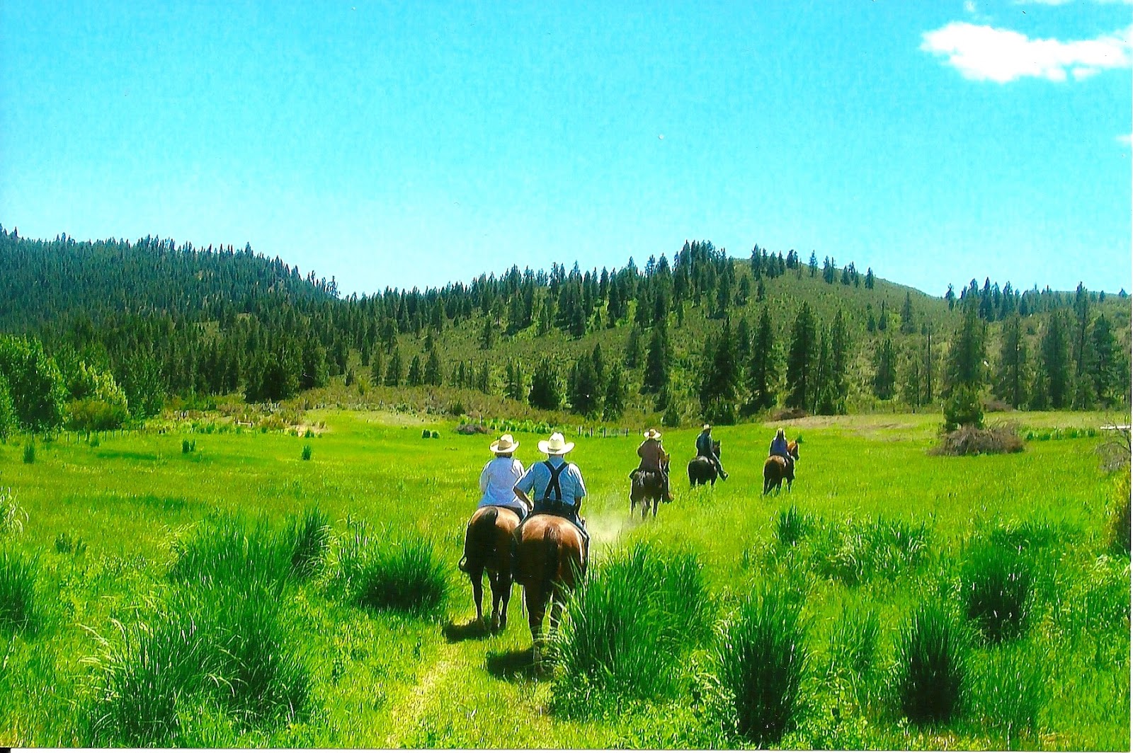 Methow Valley Back Country Horsemen: Judd Ranch Ride