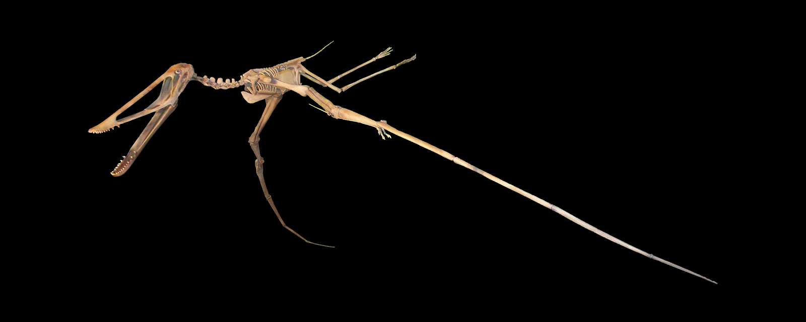 The Expeditioner's Discovery Guild: A little bit of Everything: Museums ...