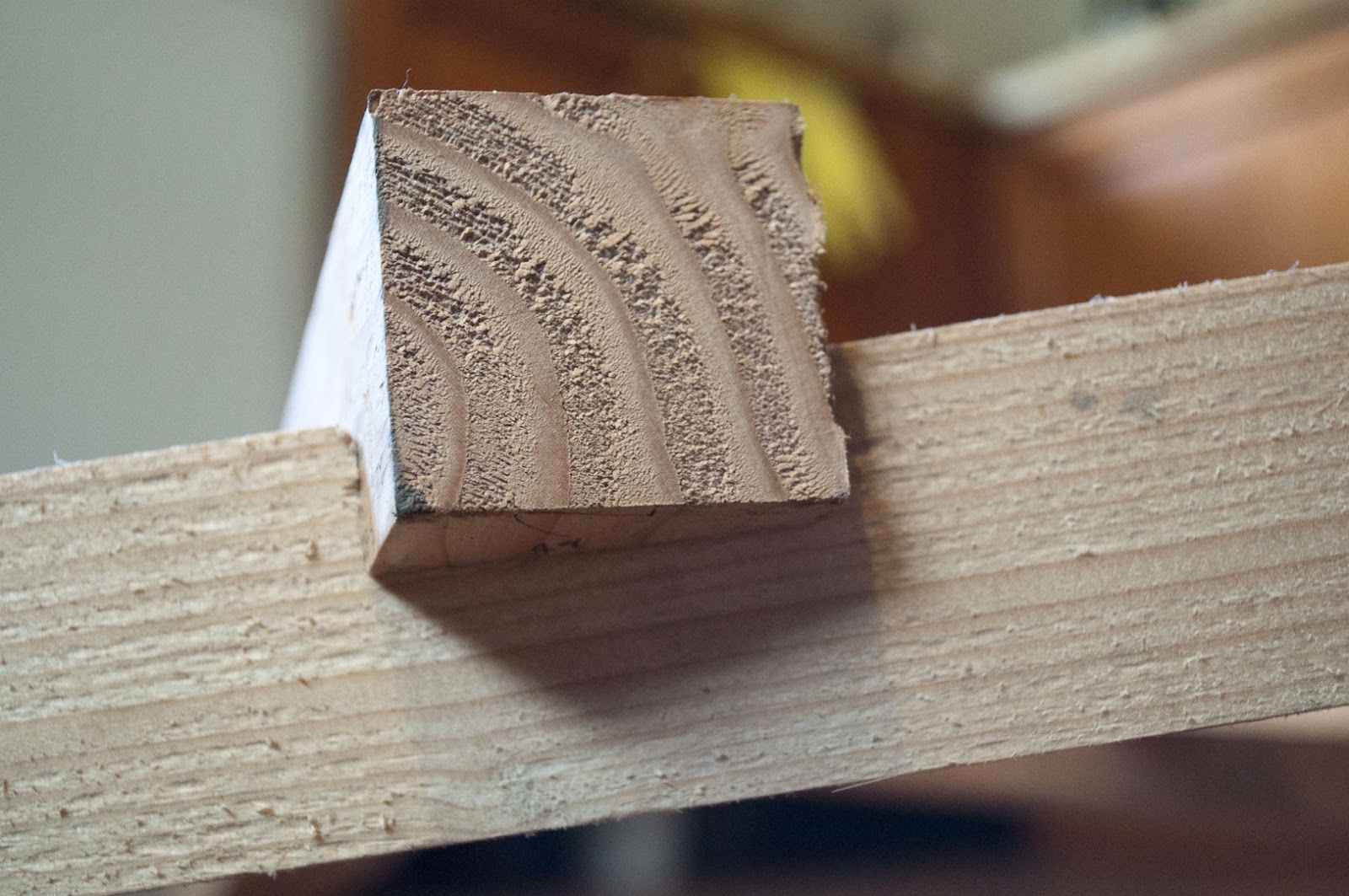 Reciprocal Frame Roof Model