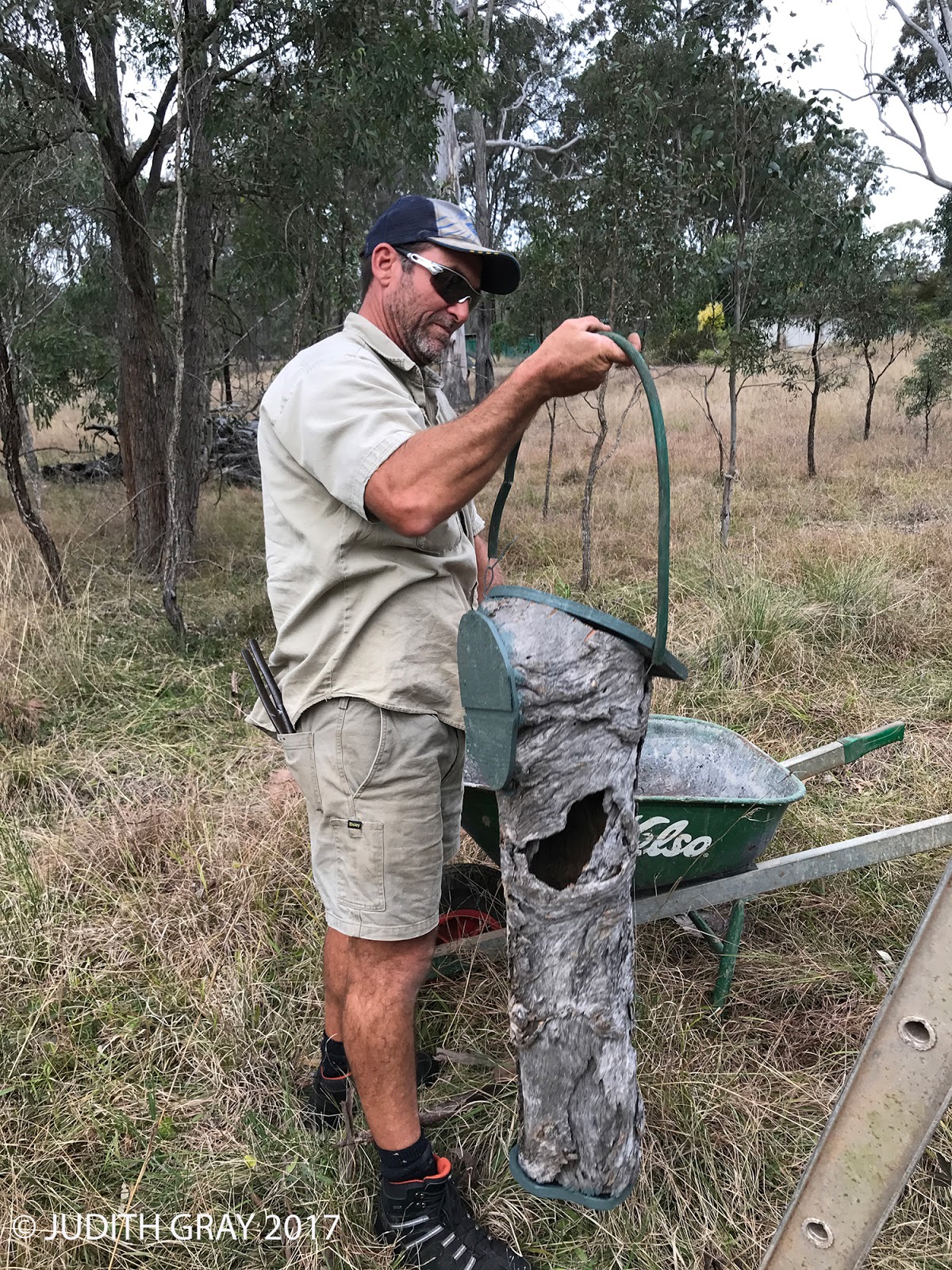 Re-purposed Hollow Log Nesting Box Installation