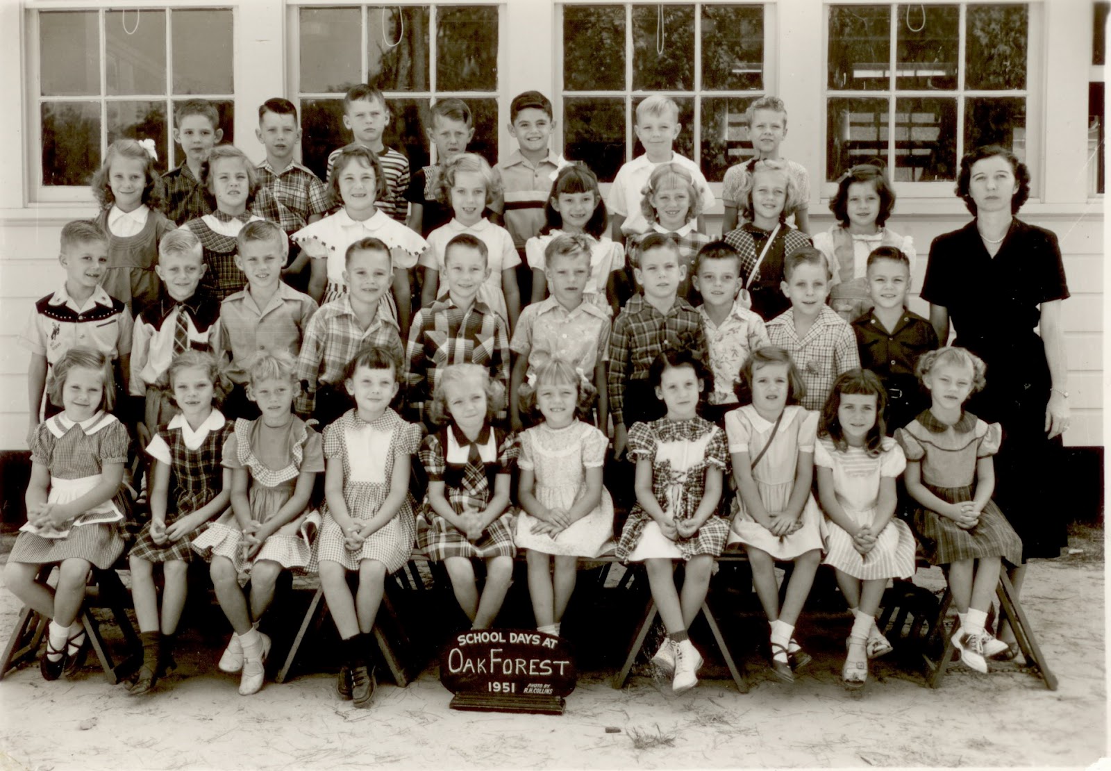 Leaf, Stem, Branch, and Root: Oak Forest Elementary 1st Grade Class