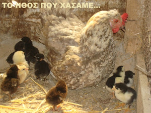 TΟ ΗΘΟΣ ΠΟΥ ΧΑΣΑΜΕ...: Υφασματοποιήματα...
