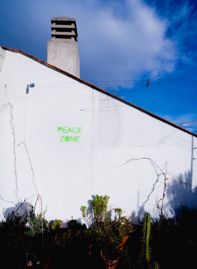 PEACE ZONE Action: RAUL BARRIO ROTARD´S PEACE ZONE CONTRIBUTION