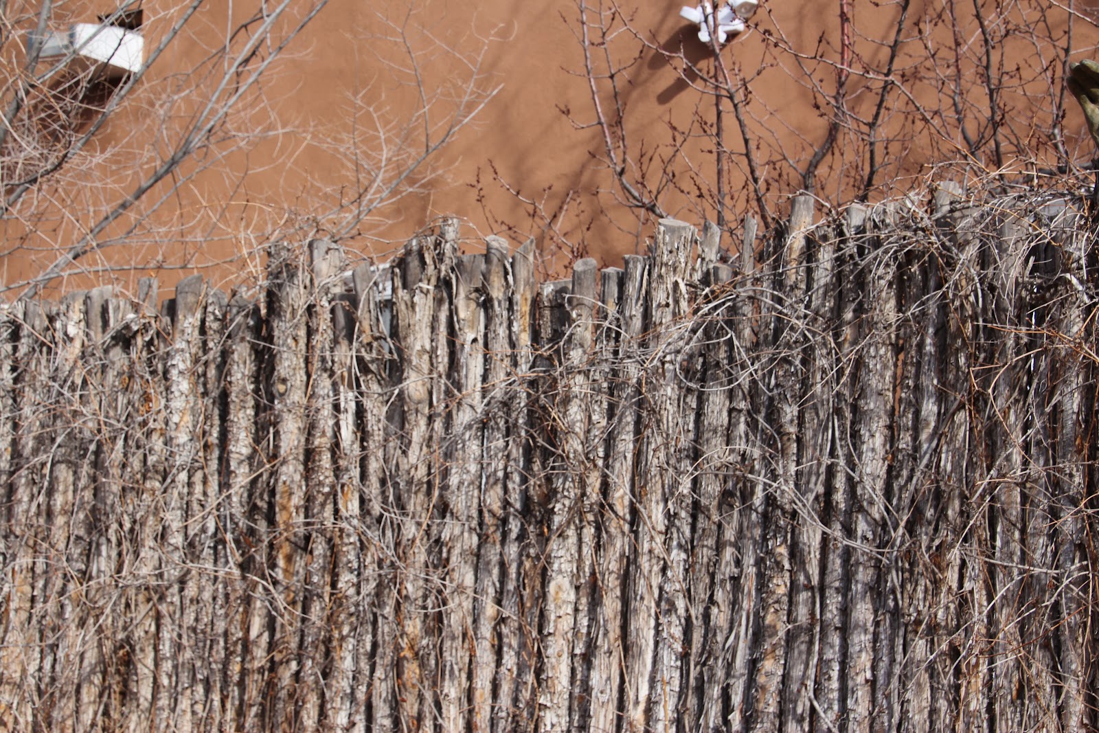 My Santa Fe - Kate: ABC WEDNESDAY-"F"-Coyote Fence