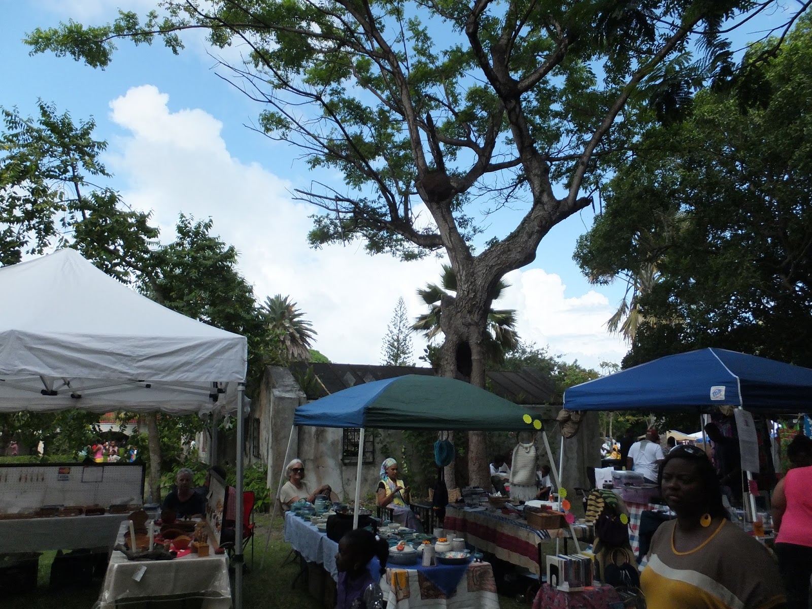 Humanity Squared: St. Croix's Mango Melee