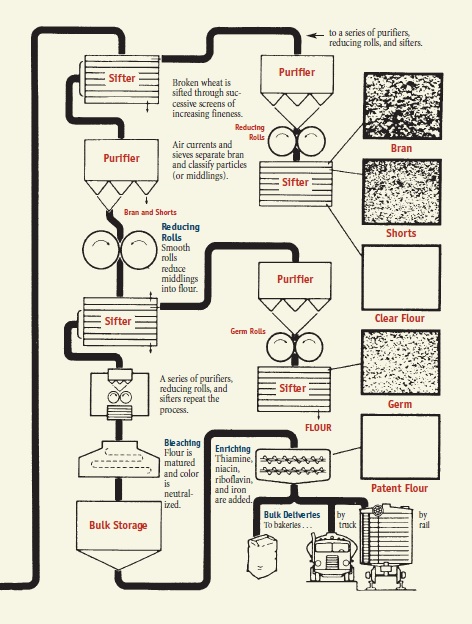 Physical Test for Wheat and Flour