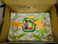 Mrs. McDonald's 4th Grade: Make a Cell Model Project
