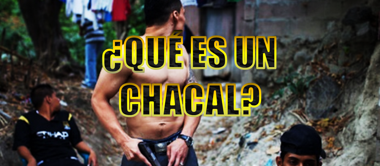 El Blog del Mayate: ¿QUE ES UN CHACAL?
