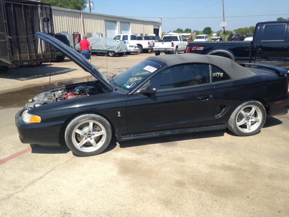 Whiteboy's Mustangs: 1998 mustang cobra convertible svt#1422