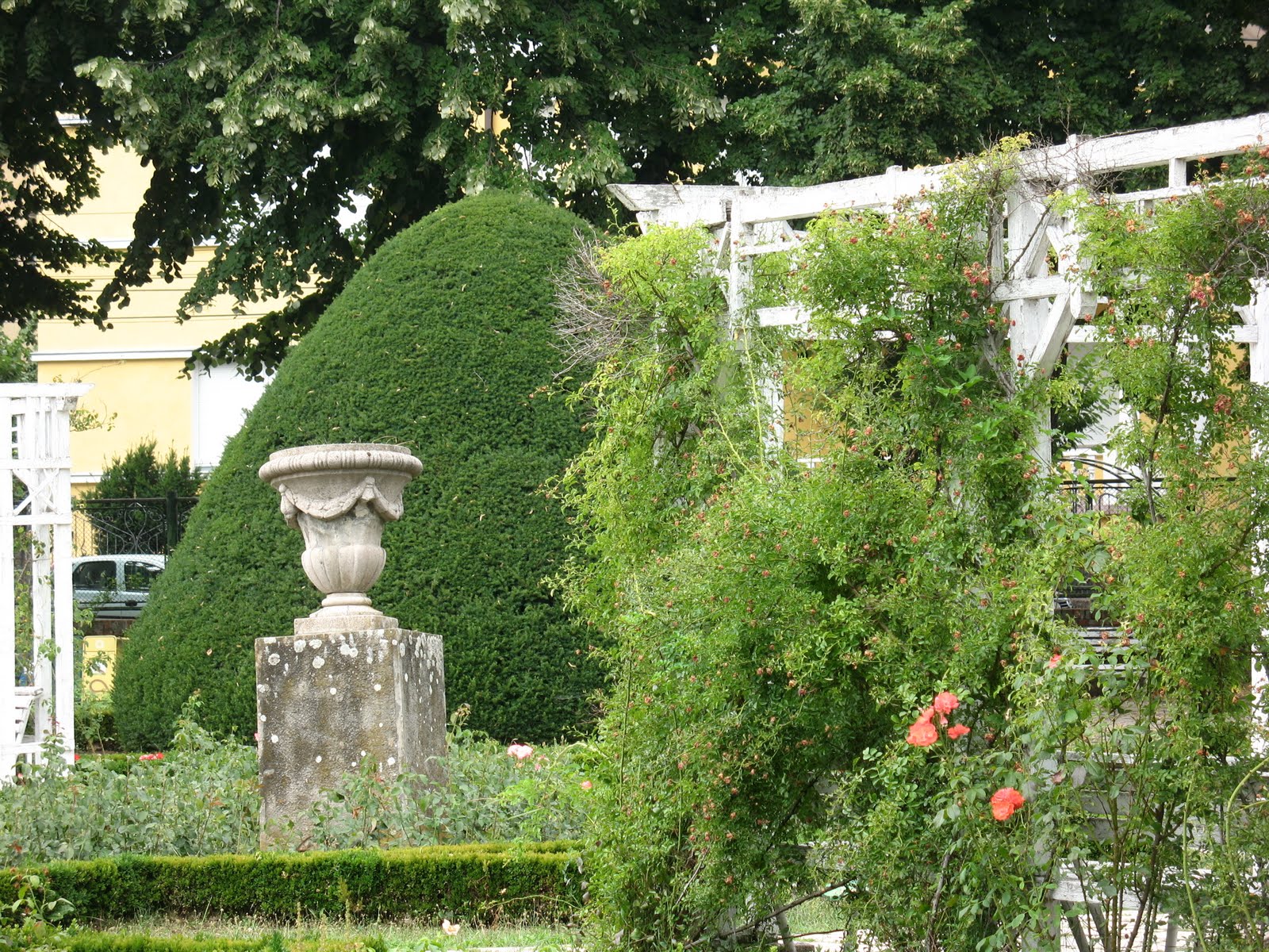 Jurnal de gradina: Parcul Rozelor - Timisoara