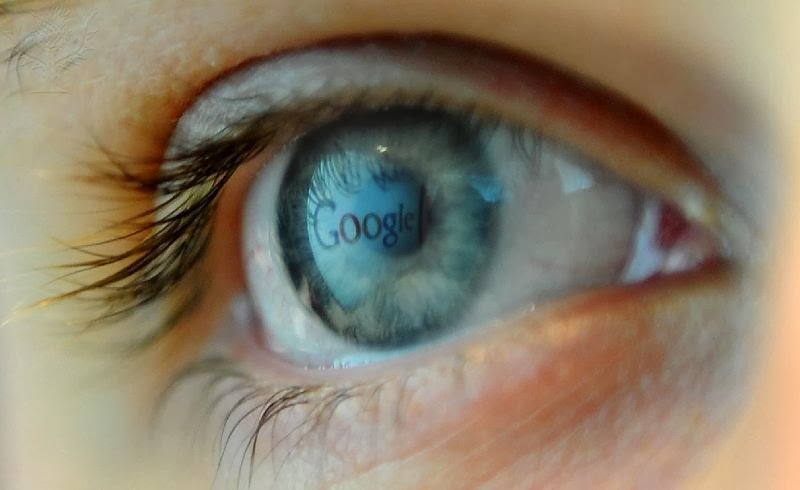 Barbara McVeigh: 2013