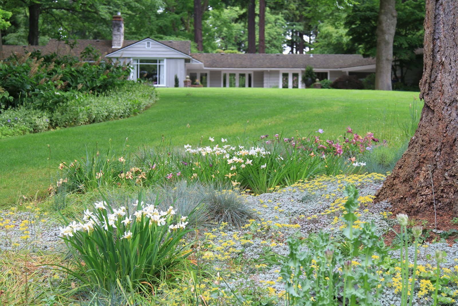 TravelMarx: A Visit to Dunn Gardens