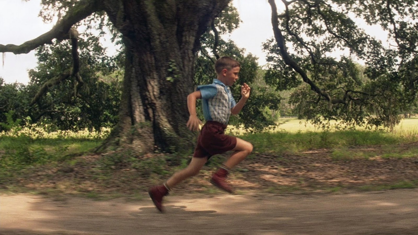 Hijos del desierto: Forrest Gump