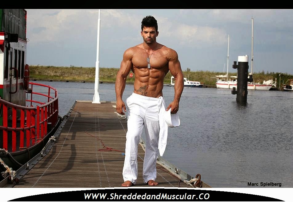 Sergi Constance Workout routine & Nutrition Plan | muscle 2017