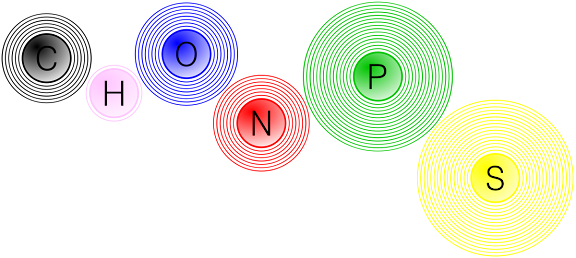 BIOELEMENTOS Y BIOMOLECULAS