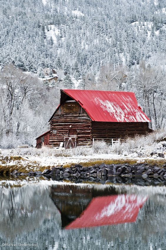 Critter Sitter's Blog: Photos of Early Spring in Colorado