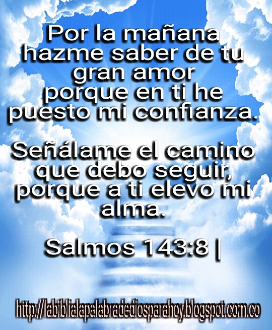 Por la mañana hazme saber de tu gran amor - Salmos 143: 8