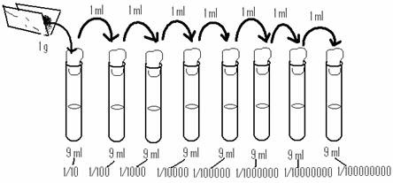 Education, Foodscience, Business: January 2019