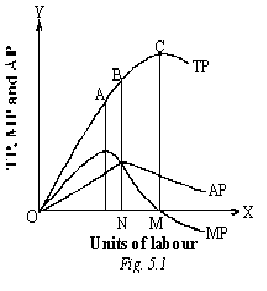 Learn Economics and Economic Analysis: The meaning of the Production ...
