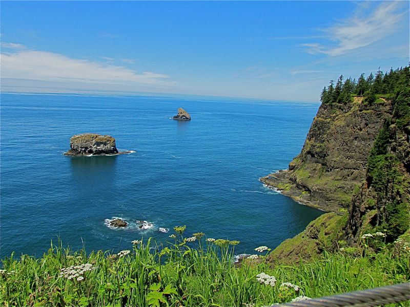 Travel With Whippets: Three Capes Scenic Drive, Oregon