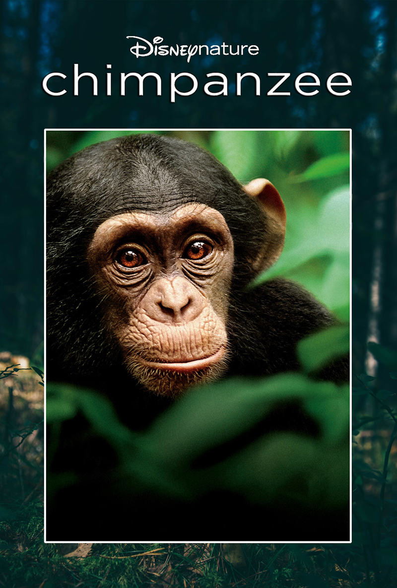 Chimpanzee 2012 - Disney HD Movie