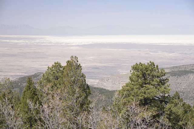 Turkey Tales and Frog Fables: To Cloudcroft, the National Solar ...