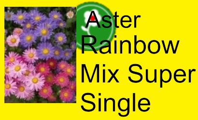 FLORES: semillas de flores disponibles comercialmente