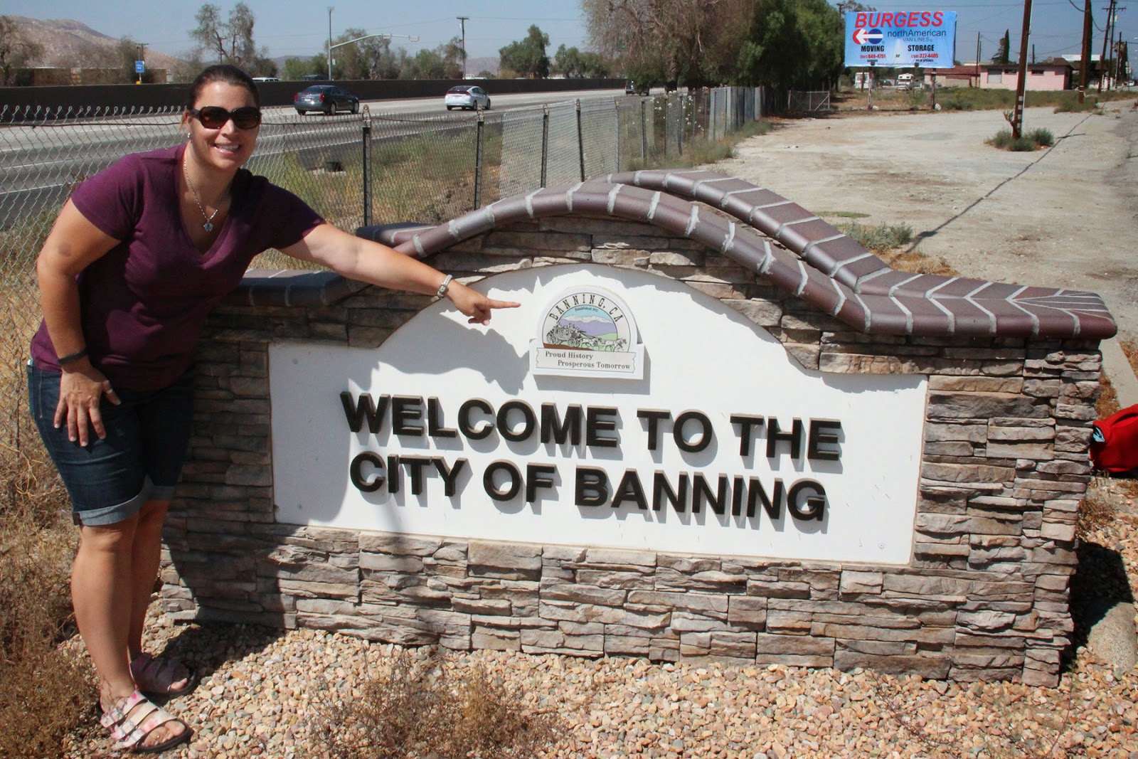 Scarlet Dolphin Media Blog