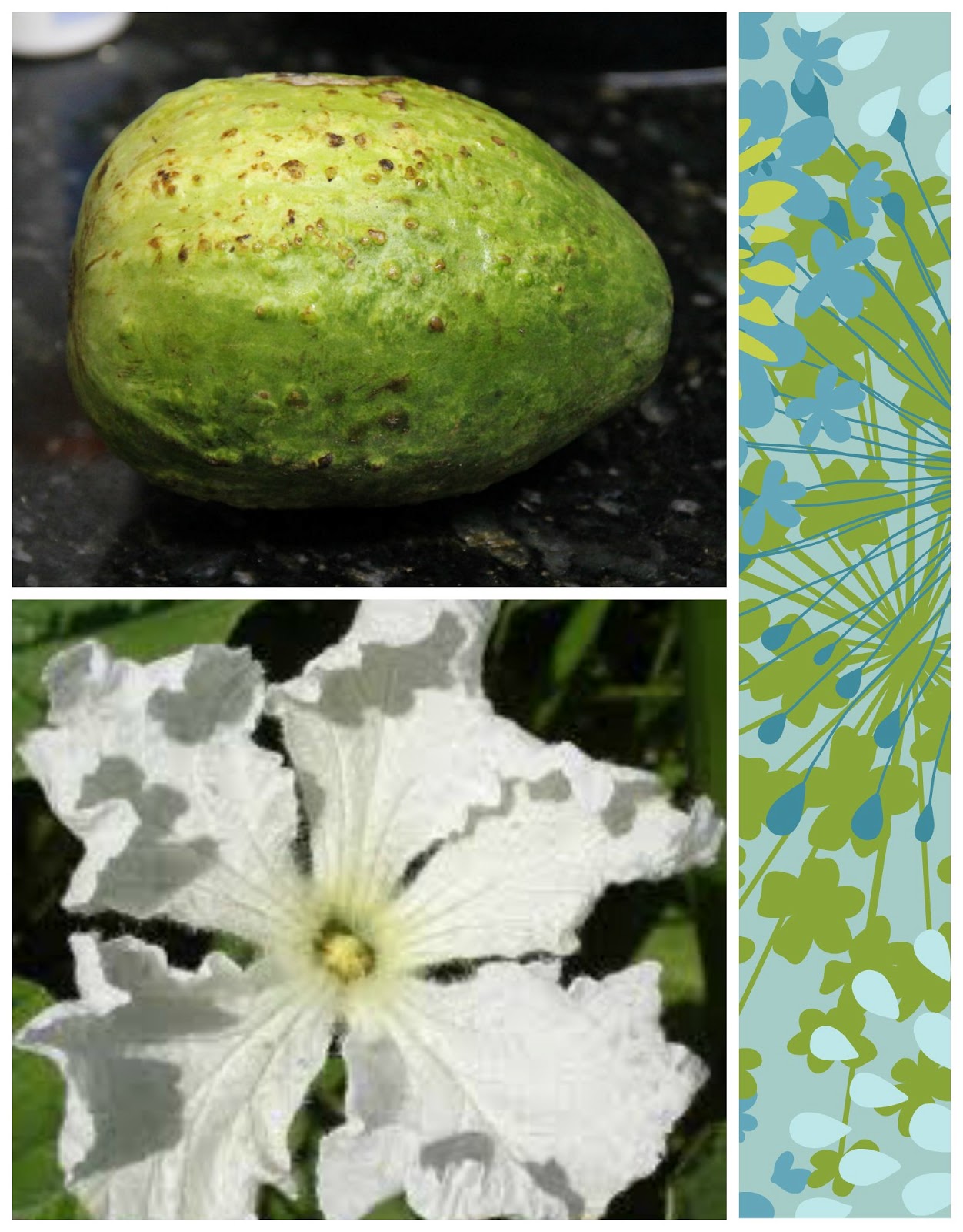 Nutricionista Lícia Vendruscolo: Imagem do Dia: Flores