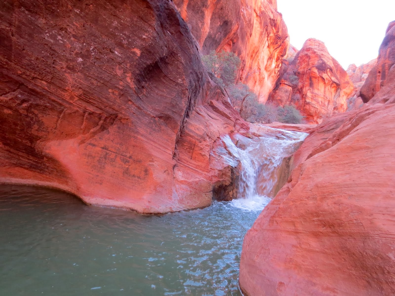 Journeys: Red Cliffs Desert Reserve, Yant Flat, and Mojave Desert ...