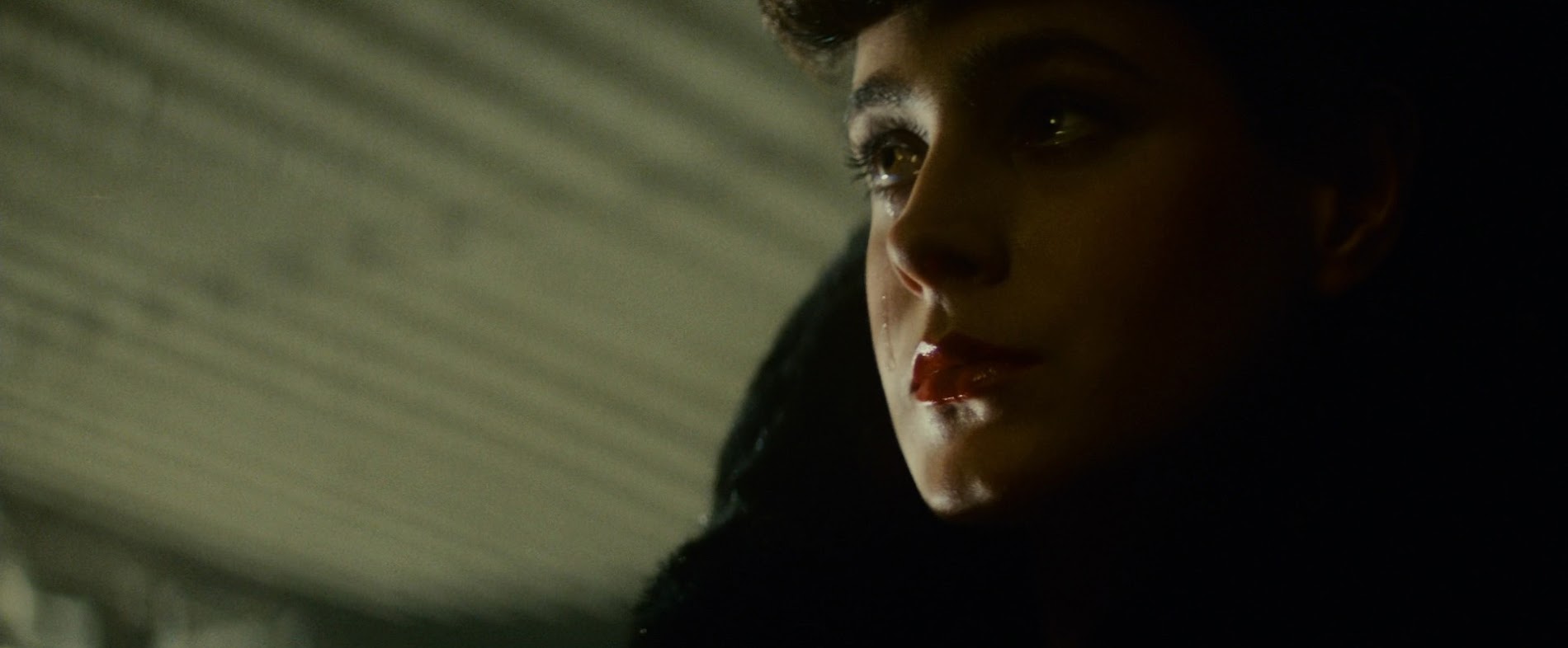 The Beautiful Film Frames: Blade Runner (1982) Blu-Ray Screenshots