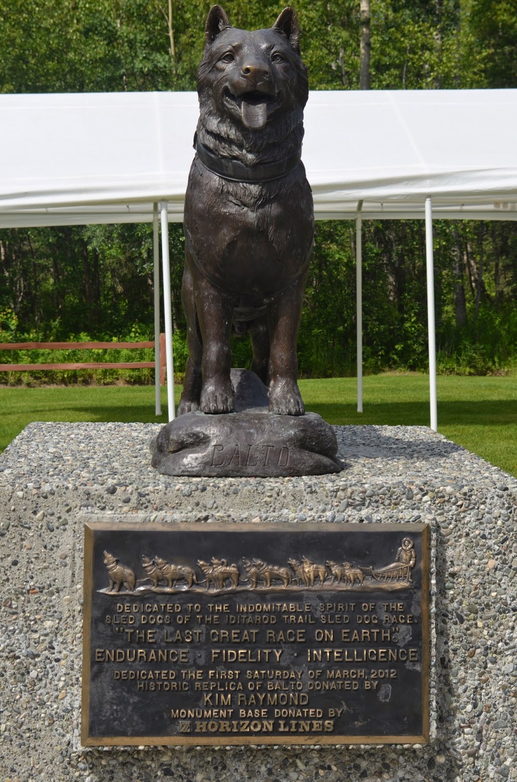 Fifty Shades of Retirement: The Last Great Race on Earth.....Iditarod ...
