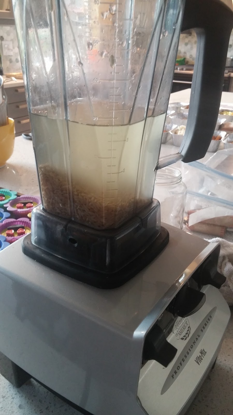 The Soapy Chef: Toasted Brown Rice Milk at Home