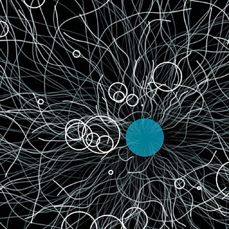 The World of John Maeda: Work