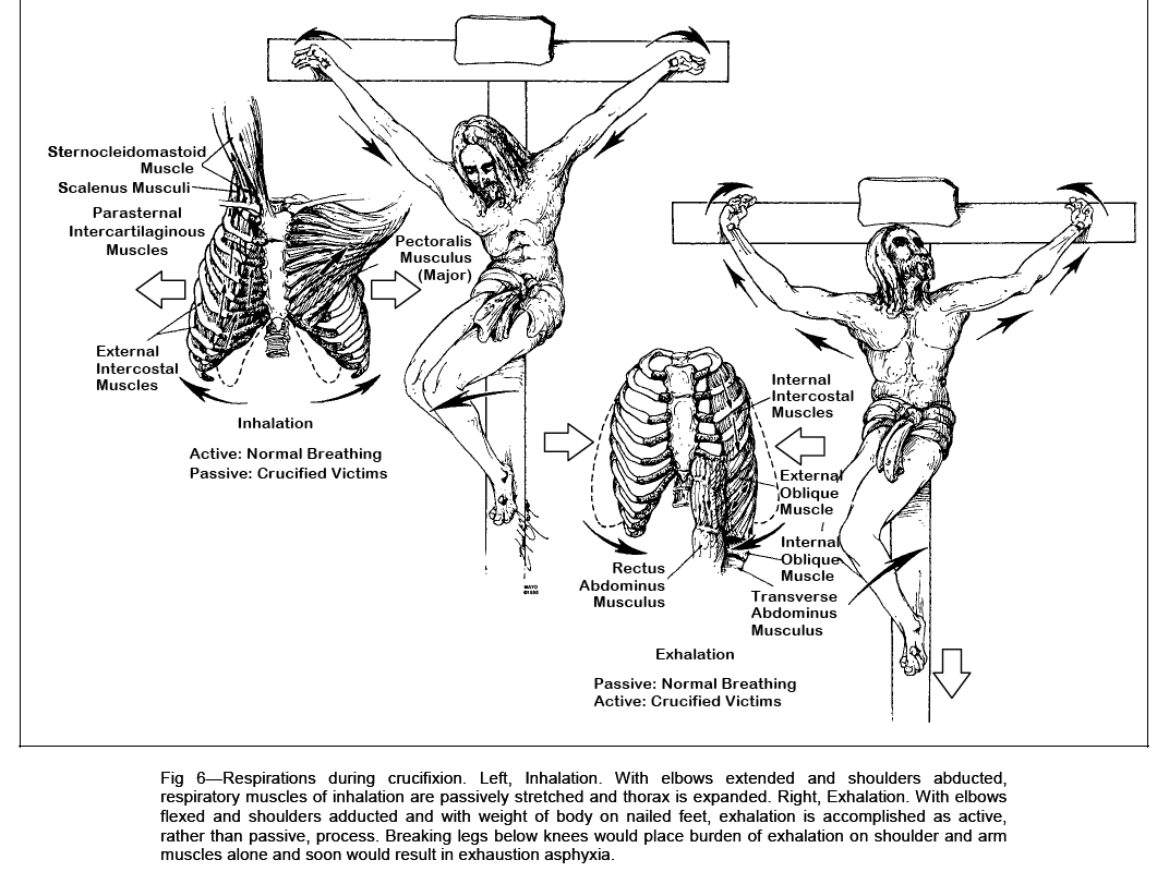 Echoes of the Myth: On the Physical Death of Jesus Christ