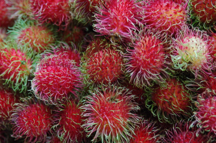 Pachamama Spectrum of Treasures: Exotic Fruits of Ecuador