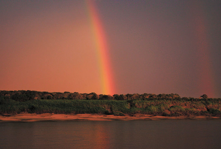 Los secretos del río Mamoré. Sorpresas de agua, tierra y aire | NOTAS ...