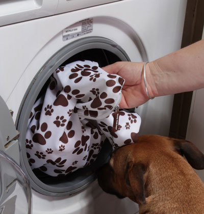 10 Spring Cleaning Tips for Dog Owners | Australian Dog Lover