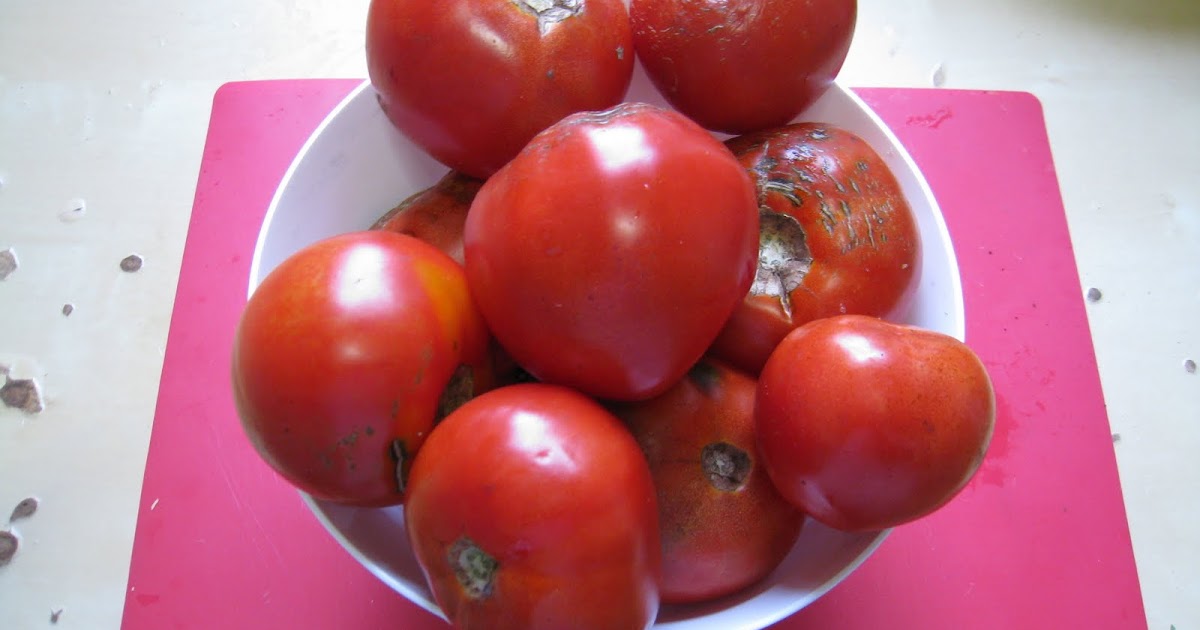 Grill A Chef: Never Can Say Goodbye...To Tomatoes!