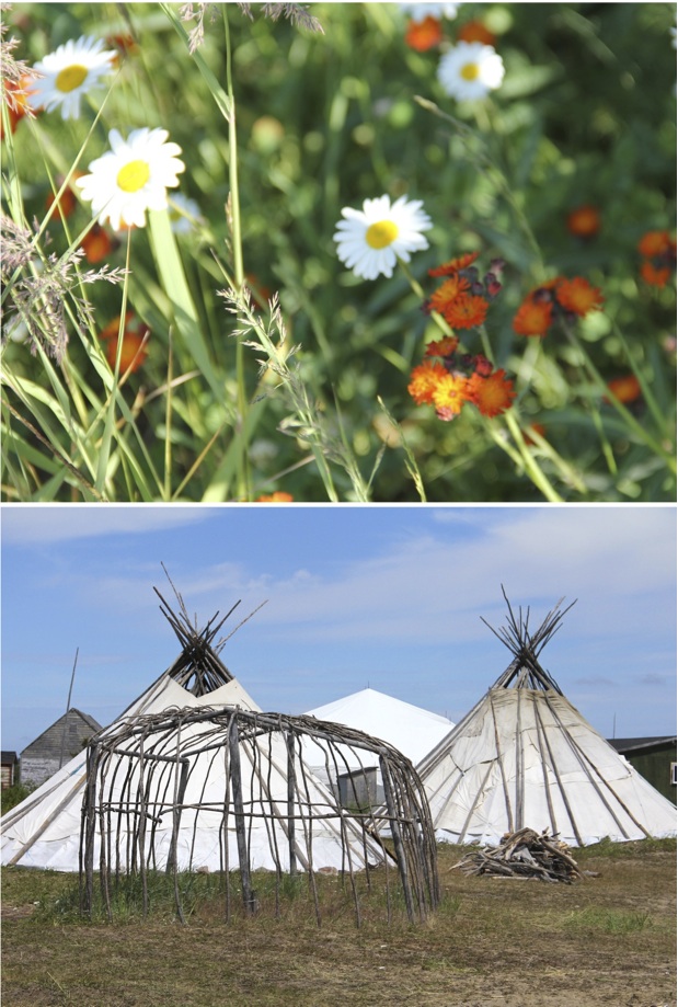 Hey, Lady Grey: Little Bits of Cree Culture