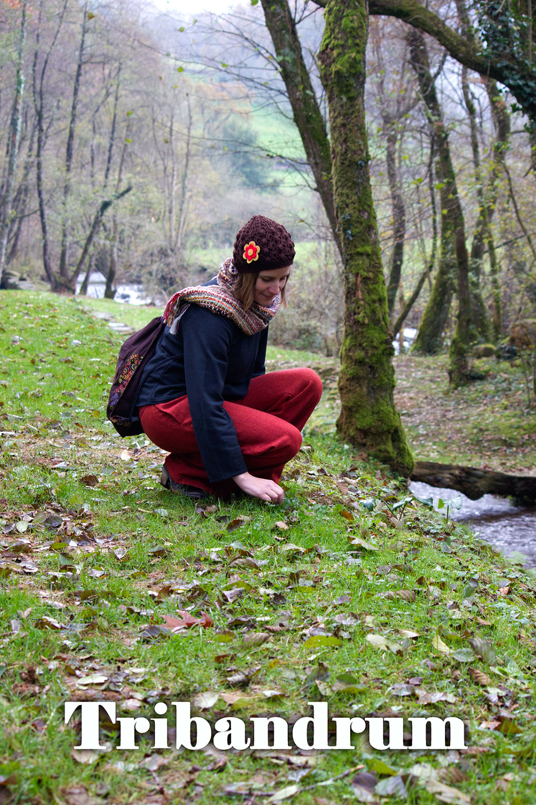 tribandrum: 12/05/12