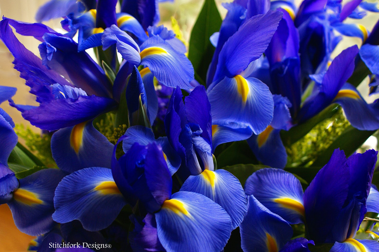 Stitchfork Designs: When iris eyes are smiling.....