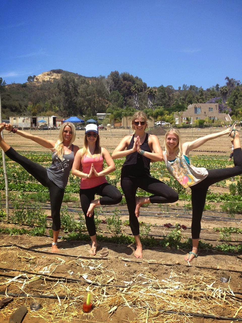 Zen Girl: Sunday Bliss: farm yoga + organic dinner