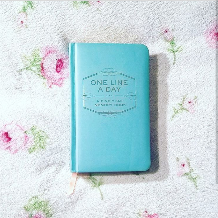 The Best Lines Of The Year Line A Day Diary Ditsy Rose The Best Lines Of The Year Line A Day Diary Ditsy Rose