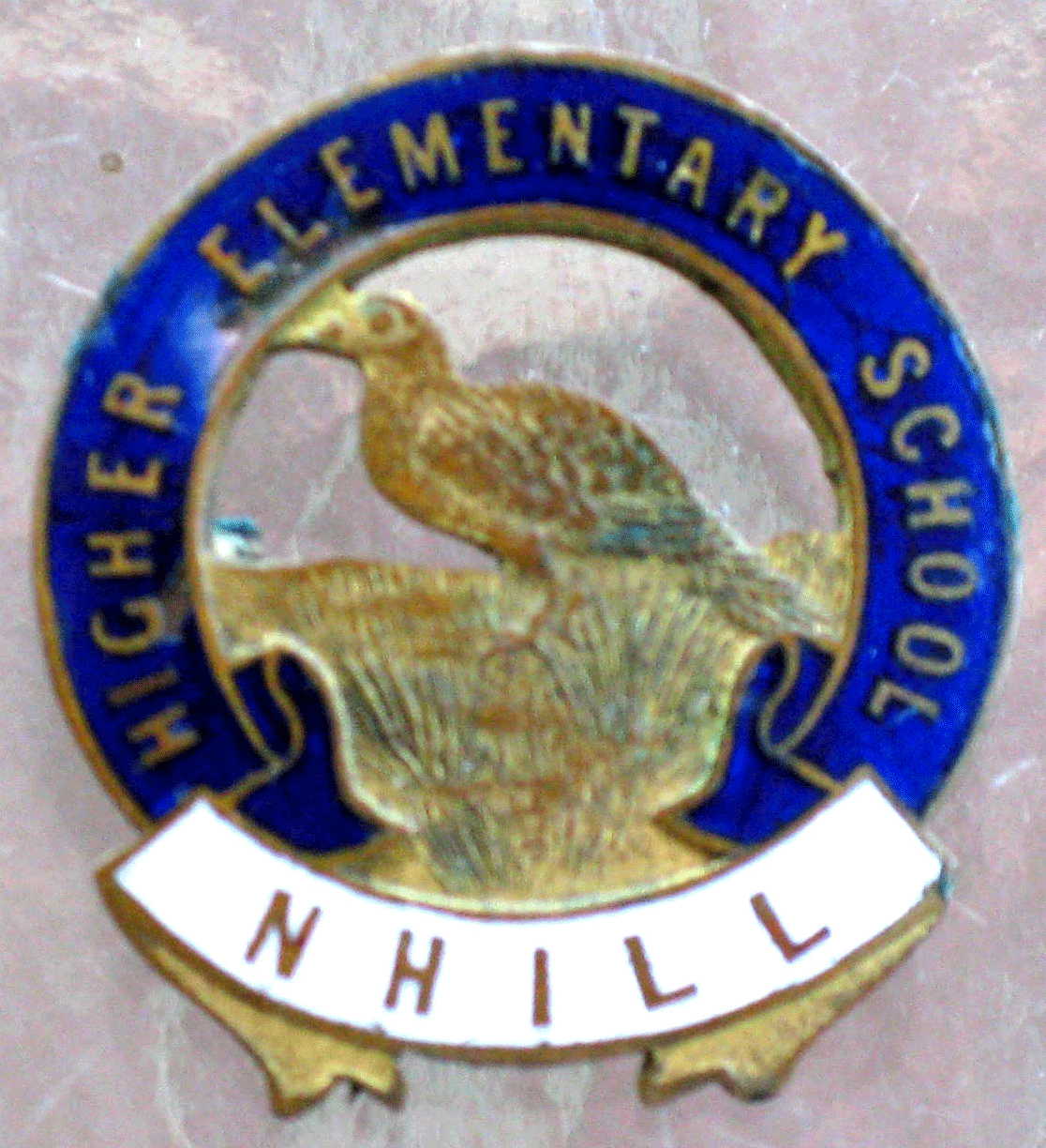 Strong Foundations: Back to Nhill Celebrations 1929